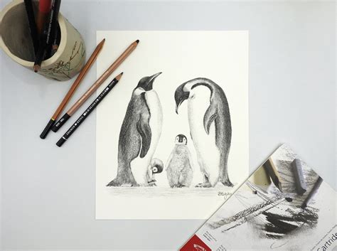 Original Penguins Pencil Drawing Penguin Seabird Wall Art Etsy