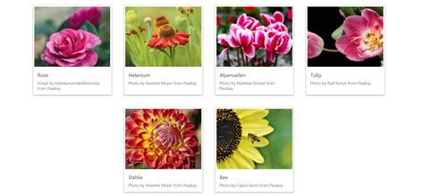 40 gutenberg blocks plugins for any purpose mostly free crocoblock
