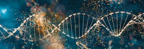 Nvidia Ai Summit 2024 More Storage And Computing Capabilities Advance