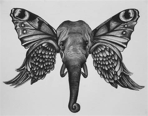 Indlovu Images Photos Videos Logos Illustrations And Branding On Behance