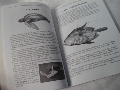 Ribarski Libar Ivo Boko Vrste Morskih Riba Morski 72912013