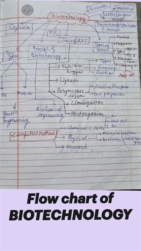 Flow Chart Of Biotechnology