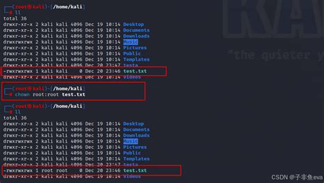 Linux操作系统基础 Csdn博客