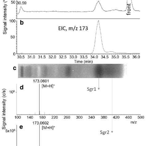 Scanning Hptlc Dart Hrms Of The Major Bioactive Zones Of S