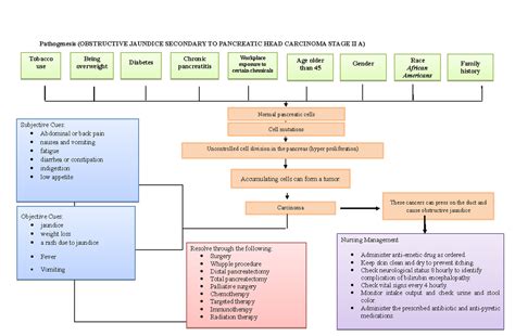 Pathogenesis And Life Thretening Pathway Obstructive Jaundice
