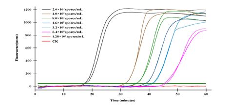 sensitivity validation of q lamp system the fluorescence signals in
