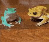 Frog Frog Laughing  Frog Frog Laughing Discover And Share S