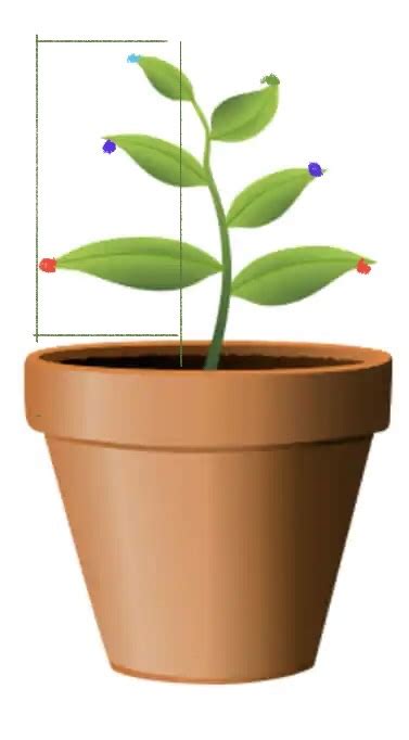 Using Bbox During Testing · Issue 2005 · Open Mmlabmmpose · Github