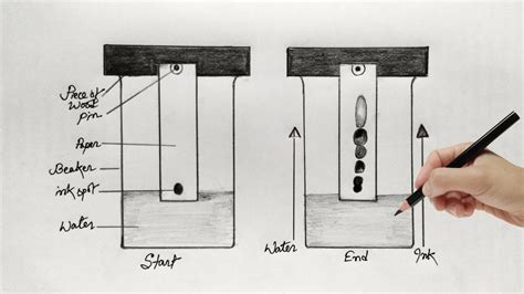 Chromatography 3d Chart At Katherine Roosa Blog