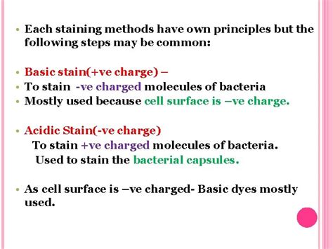 Simple Stain Biology Biotechnolody Department V In Our