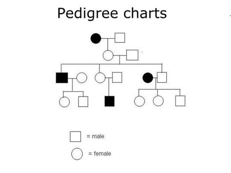 Topic Sex Linkage And Recombination Pptx Eye And Vision Conditions Diseases And Conditions