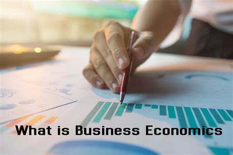 Business Economics Types Examples And More