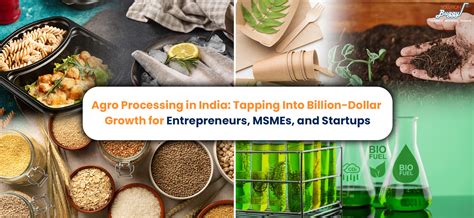 How To Start Value Added Agro Processing Industry Solutionbuggy