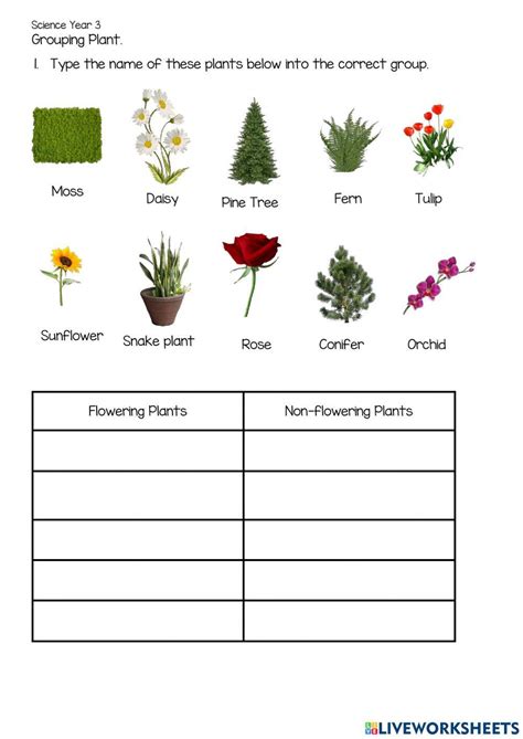 Flowering And N Free Interactive Worksheets 1370527