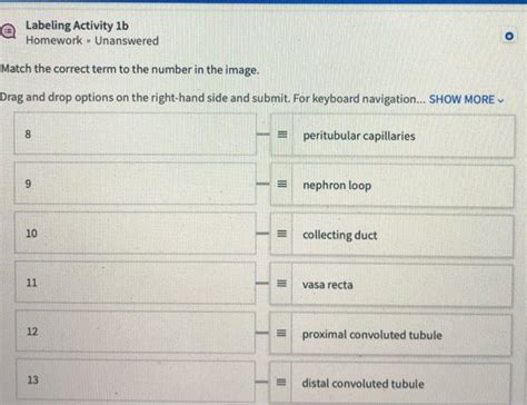 solved drag and drop options on the right hand side and