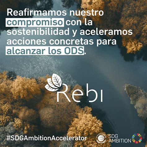 Rebi Participa En El Programa Sdg Ambition Del Pacto Mundial De La Onu