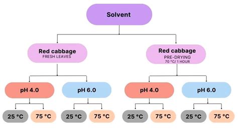 Red Cabbage Extract At Stephanie Wolfe Blog