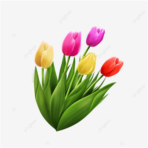 Tulip Flower Bouquet Flower Decor Flower Bouquet Corner Bouquet Png