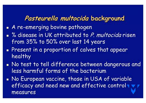 5 Current Concepts Of Carriage Spread And Control Of Pasteurella