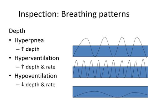 Ppt Physical Assessment Of The Respiratory System Powerpoint