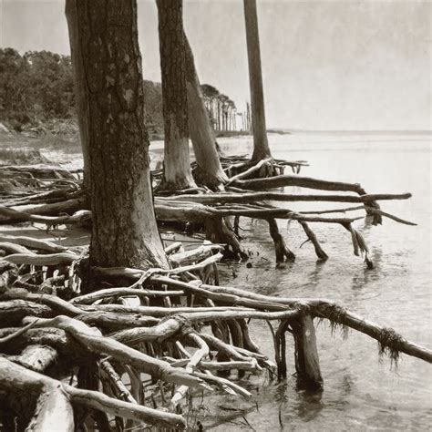 Lynne Mitchell Youtube