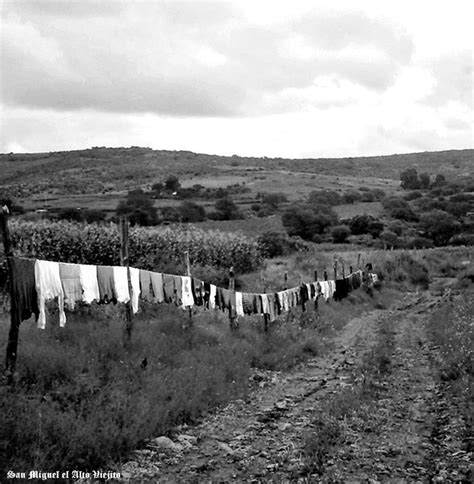 Camino Rural En Rancho En San Miguel El Alto Jalisco Méxic…