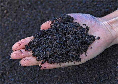 Biochar Production Properties And Applications Fotis Edu