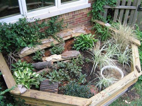 How To Make A Box Turtle Enclosure At Christiana Shepherd Blog