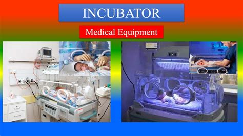 Incubator Definition Types Parts Uses How To Use Safety Considerations Medical