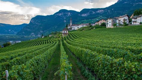 South Tyrol Is A Hidden Fairytale Region Of Cliffside Vineyards And Castles