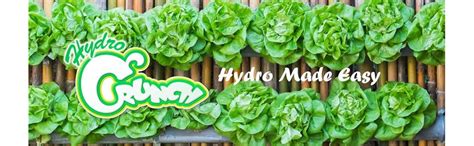 Hydro Crunch 1000 Watt Double Ended Hps Pro Series Open