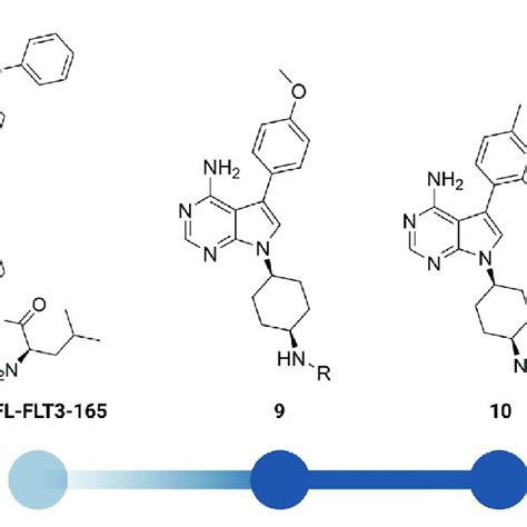 Structure Of Ripk2 Type I Kinase Inhibitors Download Scientific Diagram