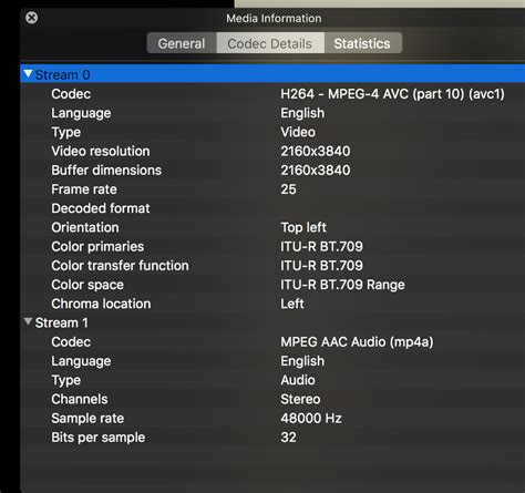 Android Downloading A Missing Codec Stack Overflow