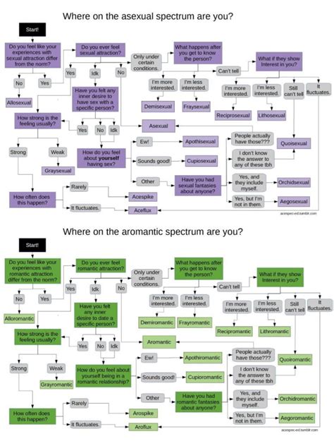 Flow Chart For Sub Identities Within Asexuality And Aromanticism R