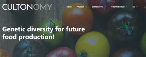 Culton Foundation Bi O