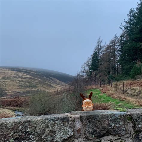 Thomas Sheldrick Posted On Linkedin