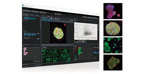 Olympus Novisight Software Enables Fast Efficient Research With Advanced 3d Cell Analysis