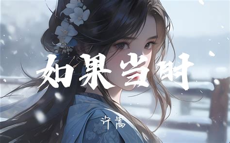 【hi Res无损】王力宏 我们的歌「情人总分分合合 可是我们却越爱越深」动态歌词 橙猫猫月亮3 好听的 哔哩哔哩视频