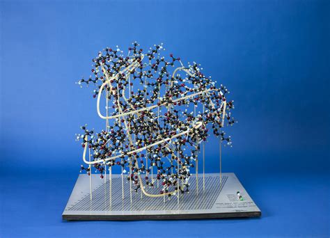 Myoglobin Protein Model Smithsonian Institution