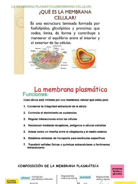 BiologÍa Membrana PlasmÁtica Pdf