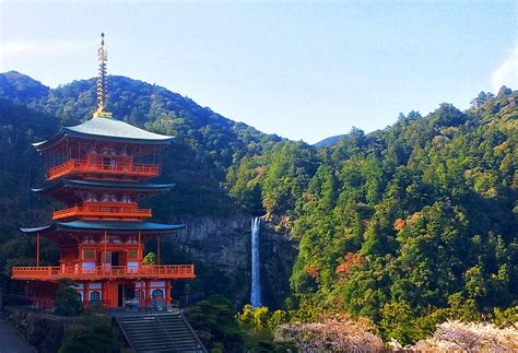 Nachi Falls In Wakayama Reached This After Hiking 8 Hours R Japanpics