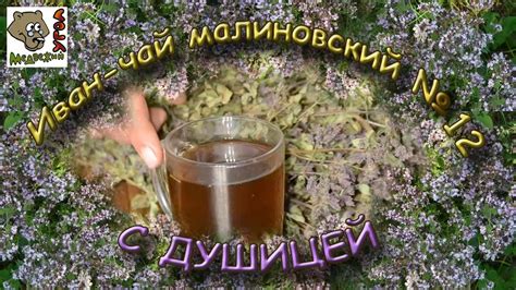 Иван-чай Малиновский № 12 С ДУШИЦЕЙ - YouTube