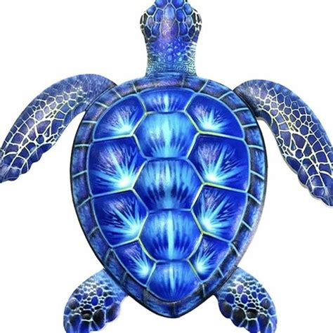 Stream Turtle Trance 5 Wav By Turtle Trance Listen Online For Free On