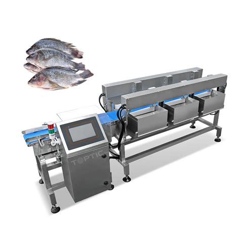 Automatic Weight Sorter Sorting And Grading Machine Machinery Weight