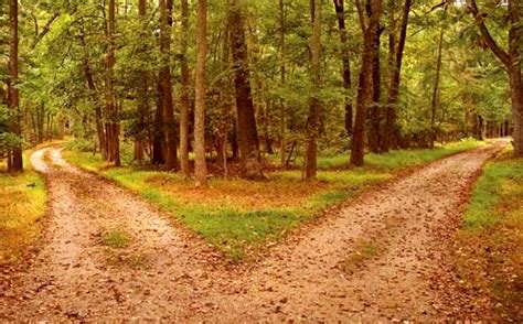 Fork In The Road Metaphor Alchetron The Free Social Encyclopedia
