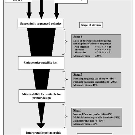 Pgem T Easy Vector Circle Map And Sequence Reference Points Download