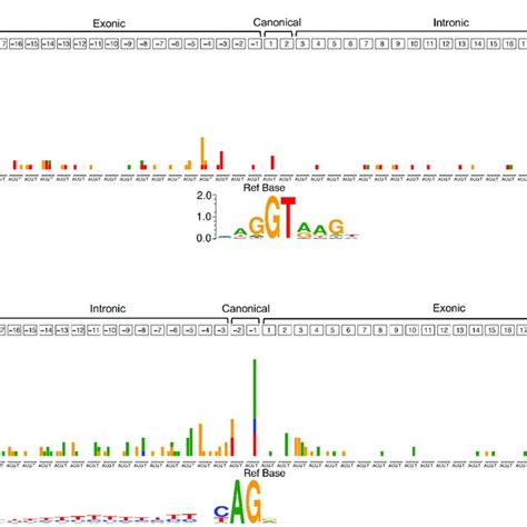 Frequency And Spectrum Of Scms Causing Exon Extensionshrinkage Events