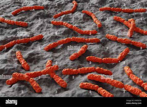Orange Microorganisms On Gray Human Tissue Illustration Of The Concept