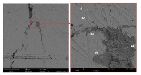 Lezanne Vosloo Posted On Linkedin