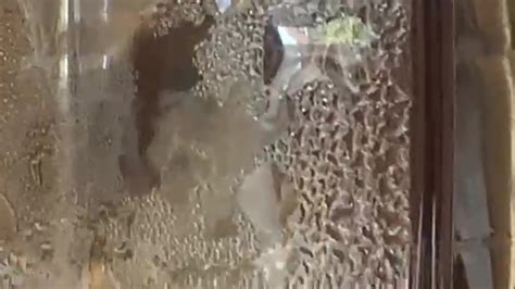 Laura Zimpfer — Klassemosler